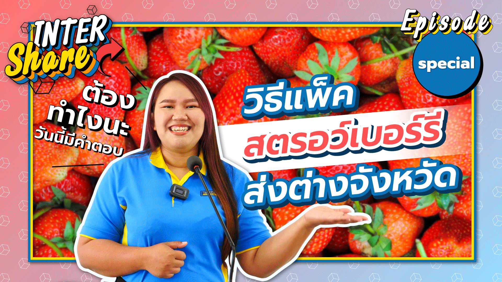 Inter Share EP.พิเศษ | แชร์ขั้นตอนการแพ็คสตรอว์เบอร์รีง่าย ๆ ปลอดภัยจนถึงปลายทางแน่นอน - Inter ...