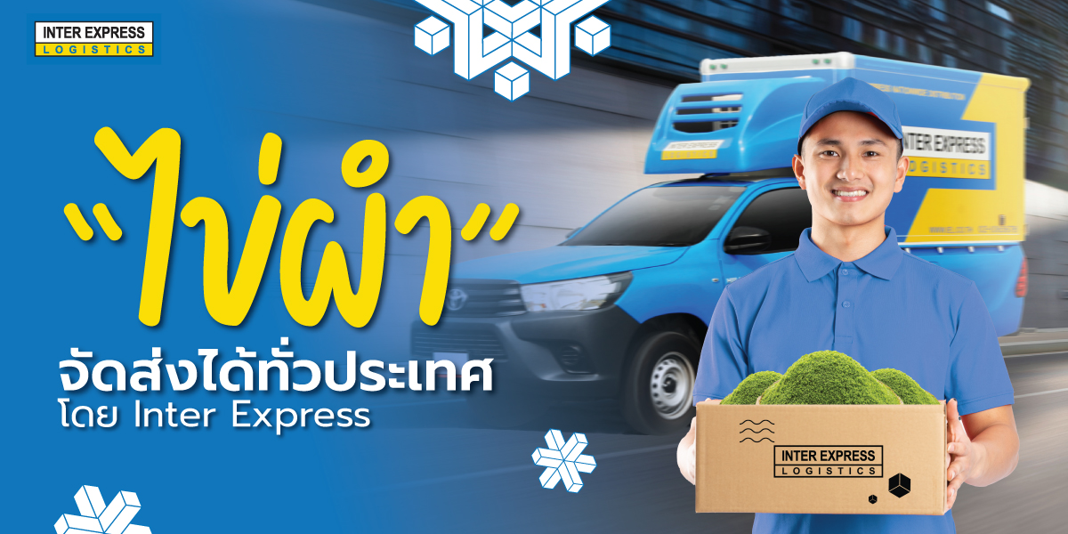 ไข่ผำ พืชน้ำ Superfood ไซซ์จิ๋ว แต่คุณประโยชน์แจ๋ว - Inter Express Logistic